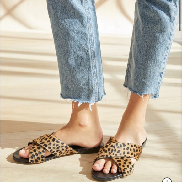 Jenni Kayne | Shoes | New Jenni Kayne Crossover Sandals Cheetah | Poshmark